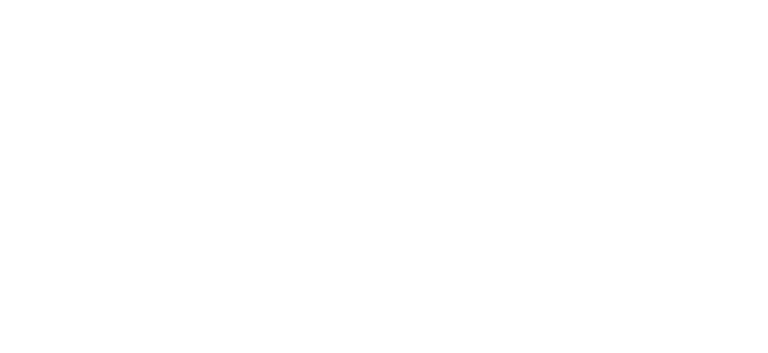 Middle Street Partners
